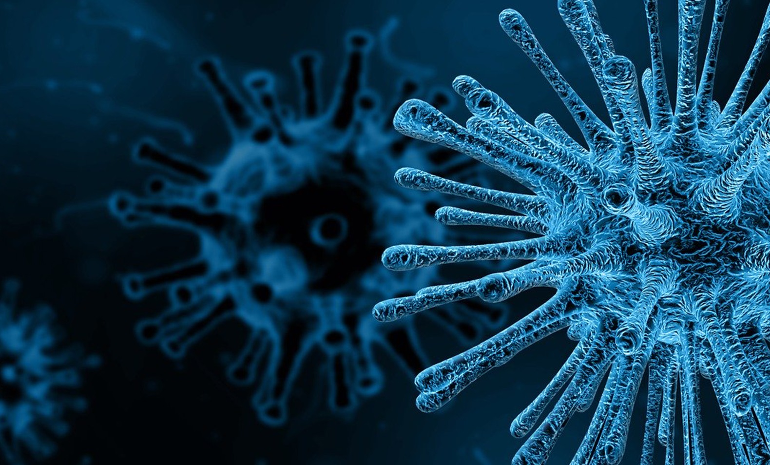 Coronavirus Information Southport College Coronavirus Information Southport College